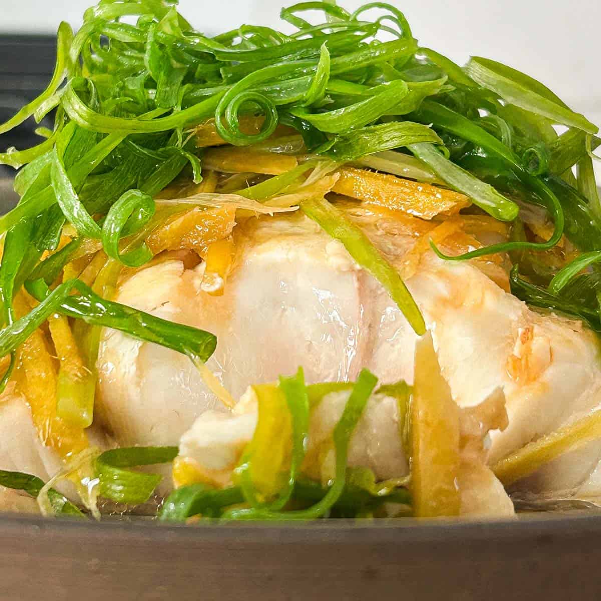 Ginger Scallion Steamed Fish (Cantonese Steamed Fish) - Trang's Kitchen ...